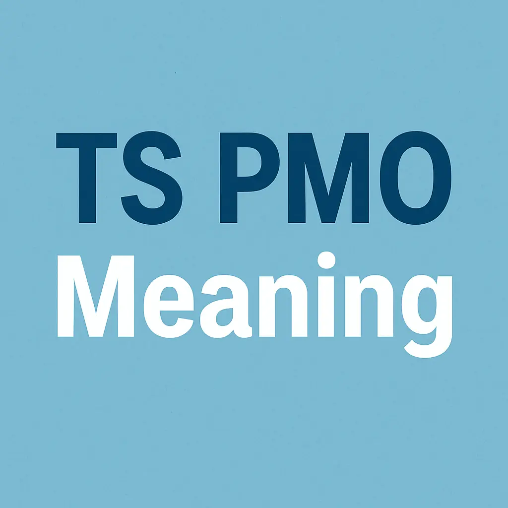 TS PMO Meaning: Simple Guide to This Fast Chat Slang